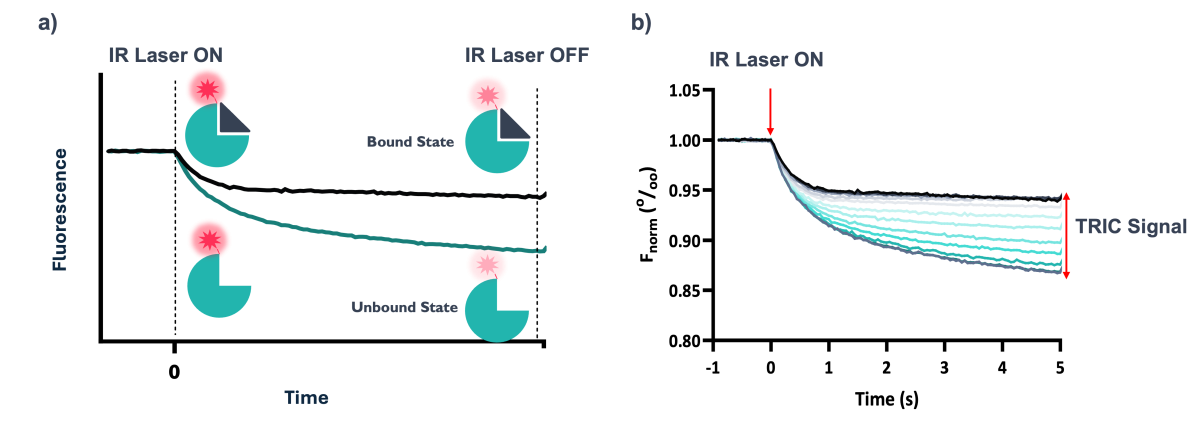 Spectral Shift and MST Services | Domainex
